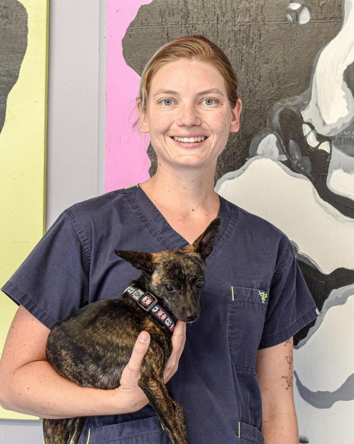 City appoints new Animal Care and Control director and veterinarian ...