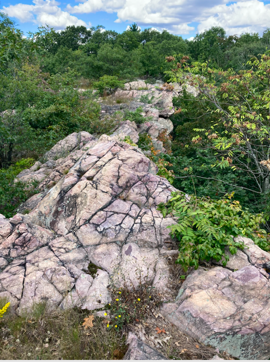 Supporting Indigenous Communities | Boston.gov