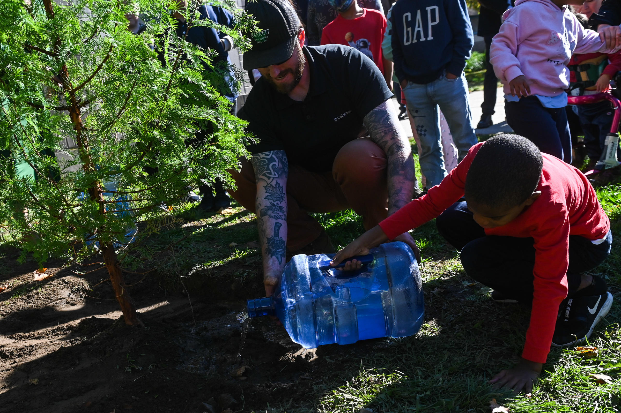 Boston Tree Alliance Program | Boston.gov