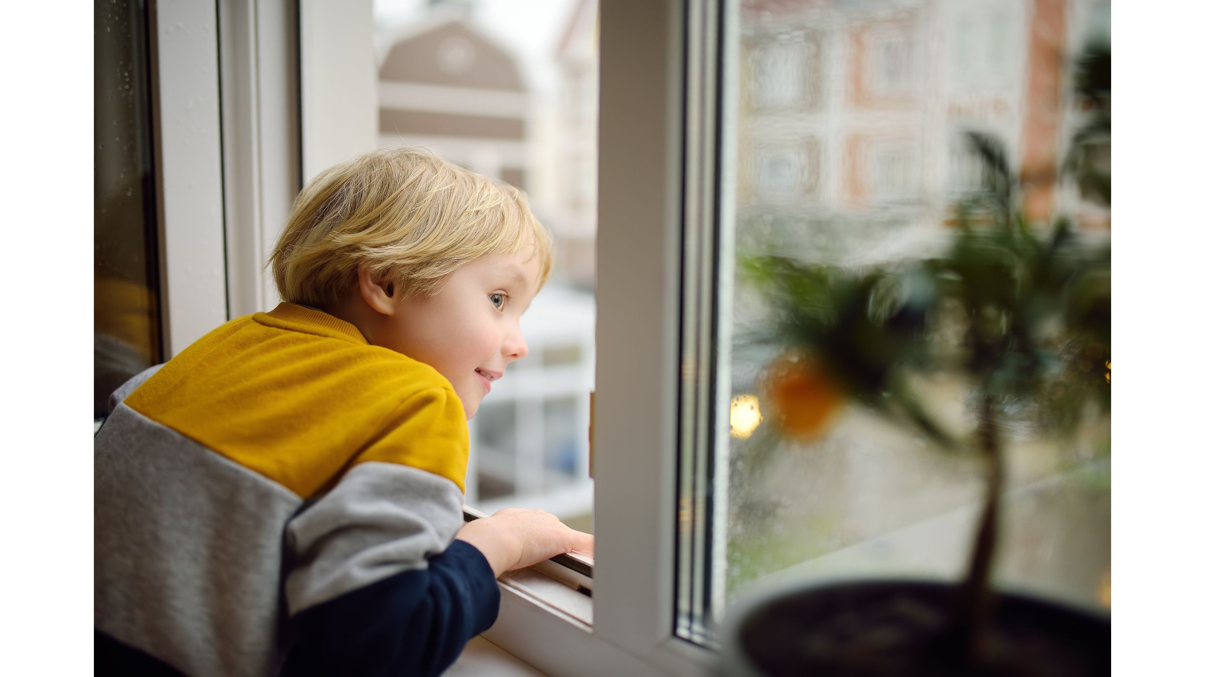 Window Falls Prevention | Boston.gov