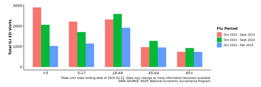 Flu (Seasonal Influenza) | Boston.gov
